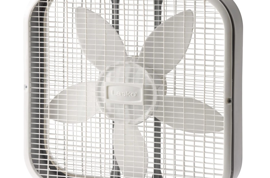 This Bestselling Box Fan Stands Up to the Summer Heat – And It’s On ...